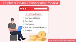 Why Every Business Needs an Employee Payroll Management System?